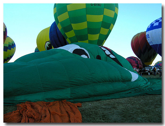 Buzzie Start to Finish